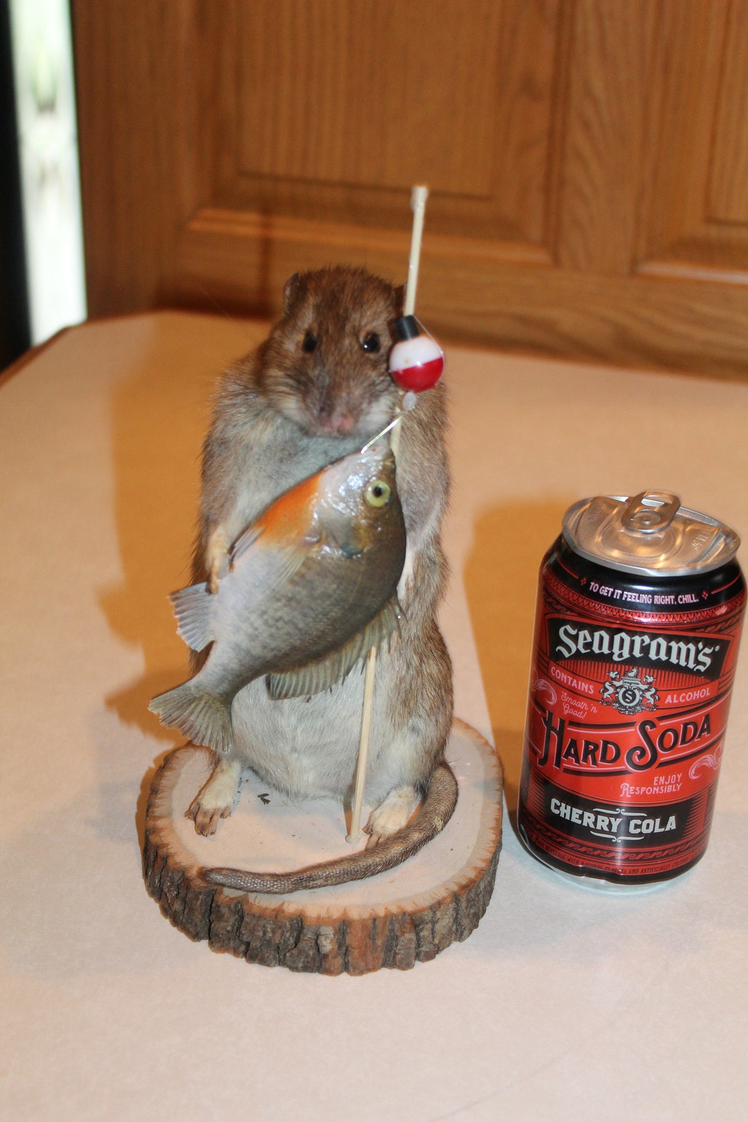 Taxidermy Fishing Barn Rat Mount Novelty Whitetail Deer Log Cabin Decor ...