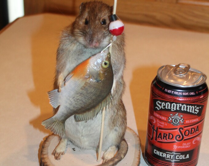 Taxidermy Fishing Barn Rat Mount Novelty Whitetail Deer Log Cabin Decor ...