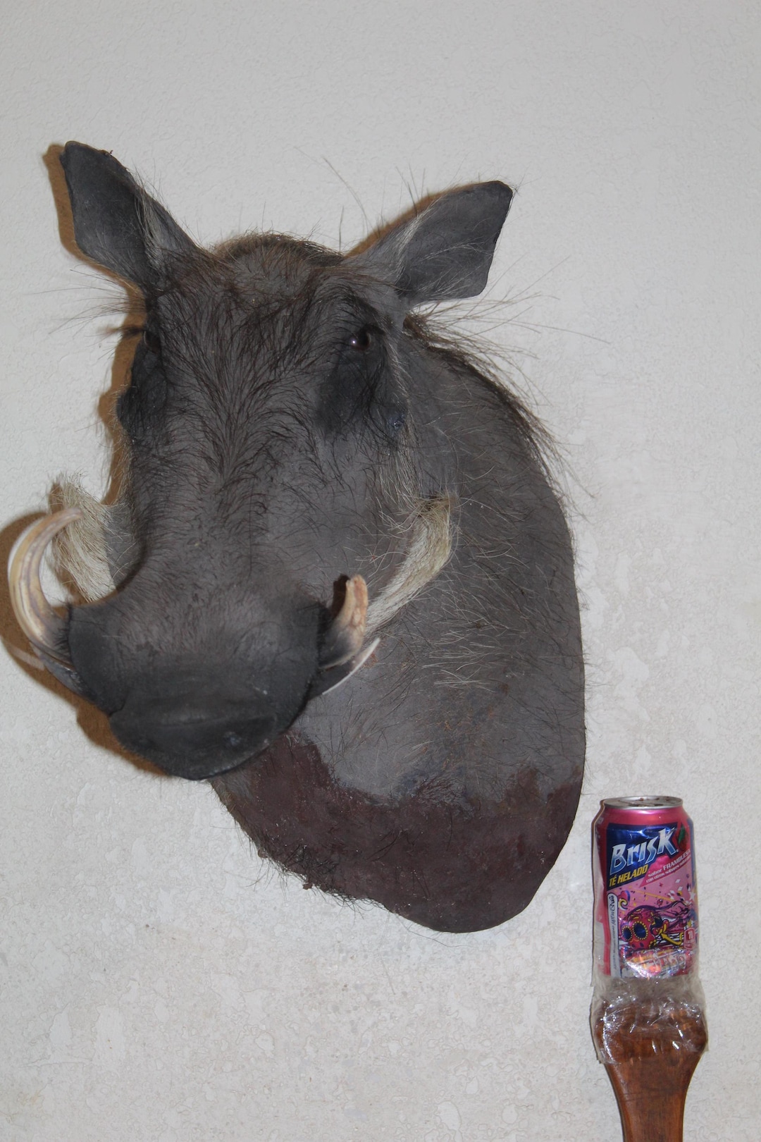 Pig Head Mount Taxidermy Log Cabin Decor - Etsy