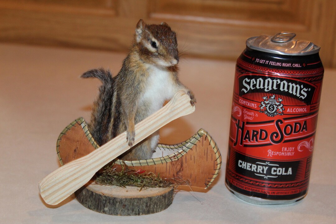 Taxidermy Chipmunk Canoe Camping Mount Novelty Whitetail Deer Log Cabin ...