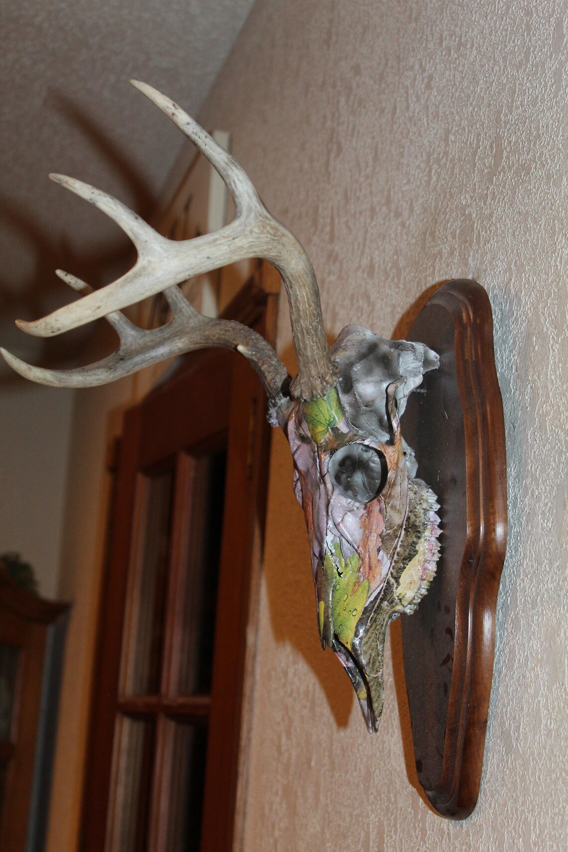 European Whitetail Deer Mount Taxidermy Skull Antler Log Cabin Decor ...