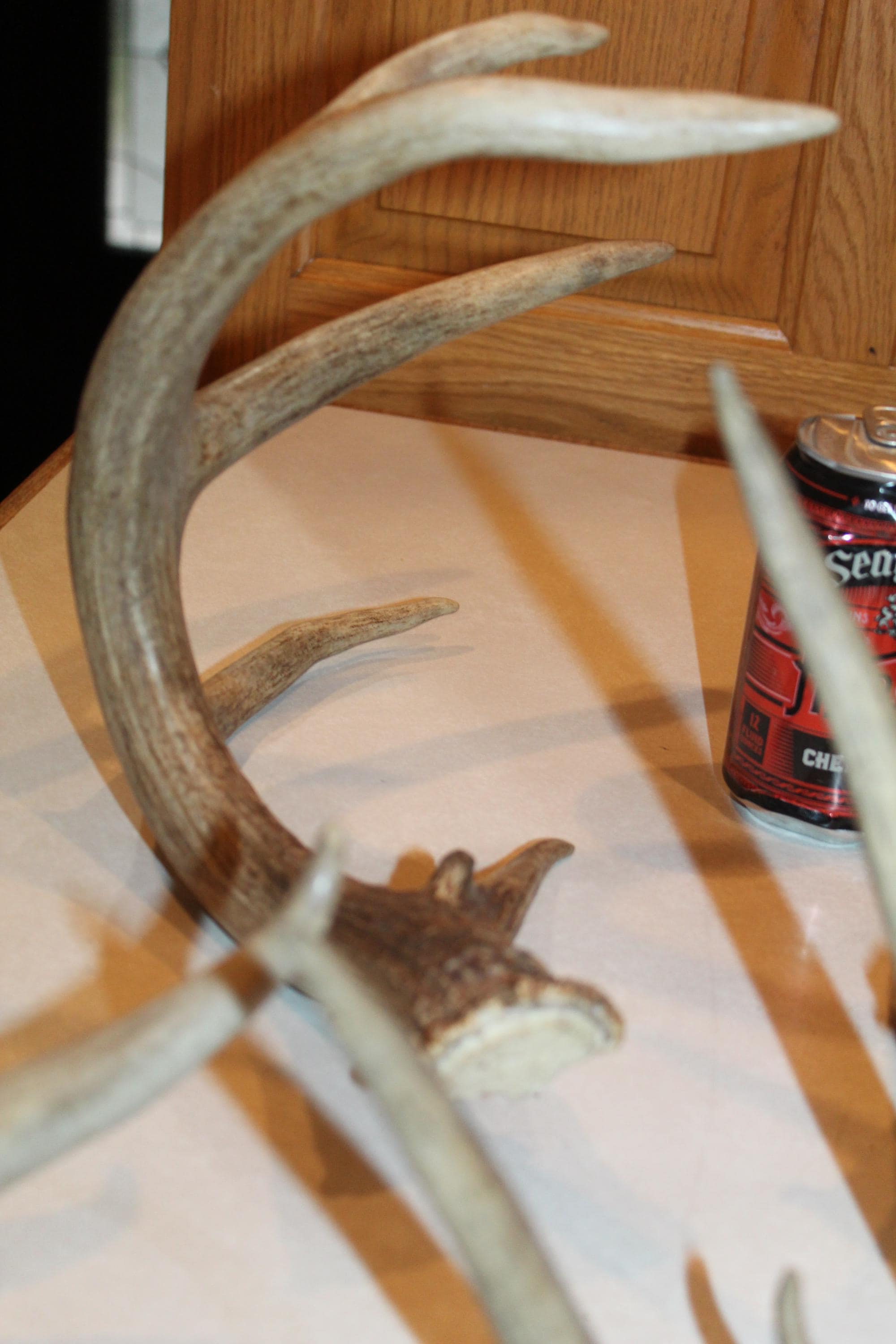 Whitetail Deer Shed Antler Mounts Taxidermy Hunt Log Cabin Wall Decor ...