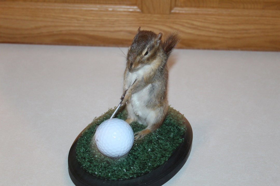 Taxidermy Chipmunk Golf Ball Club Mount Novelty Whitetail Deer Log ...