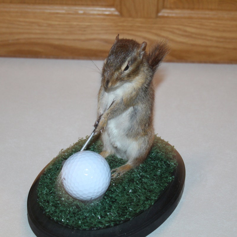YardstickMania - Etsy