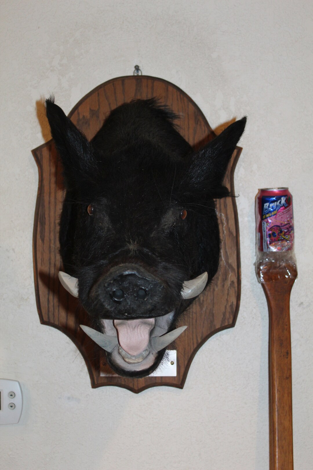 Pig Head Mount Taxidermy Log Cabin Decor - Etsy