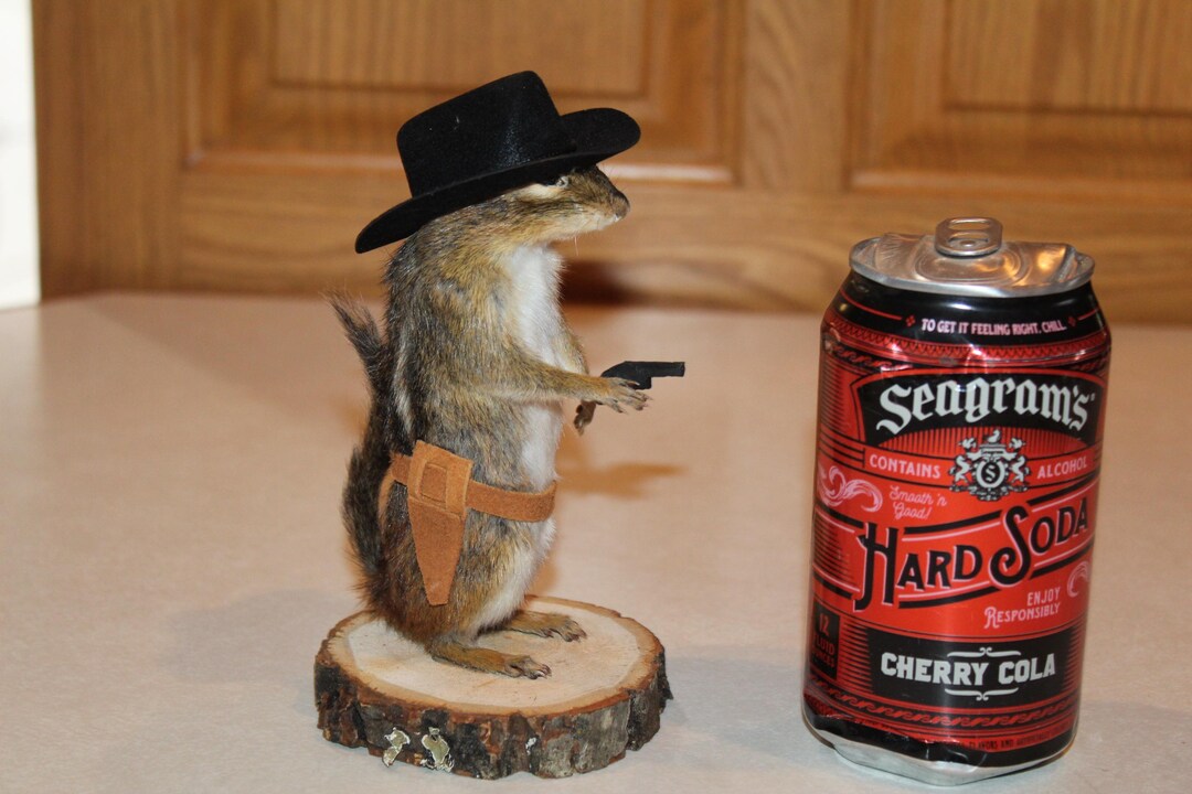 New Taxidermy Cowboy Chipmunk Mount Novelty Whitetail Deer Log Cabin ...