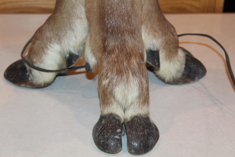Caribou Feet Table Lamp Taxidermy Log Cabin Decor Whitetail Deer Mule ...