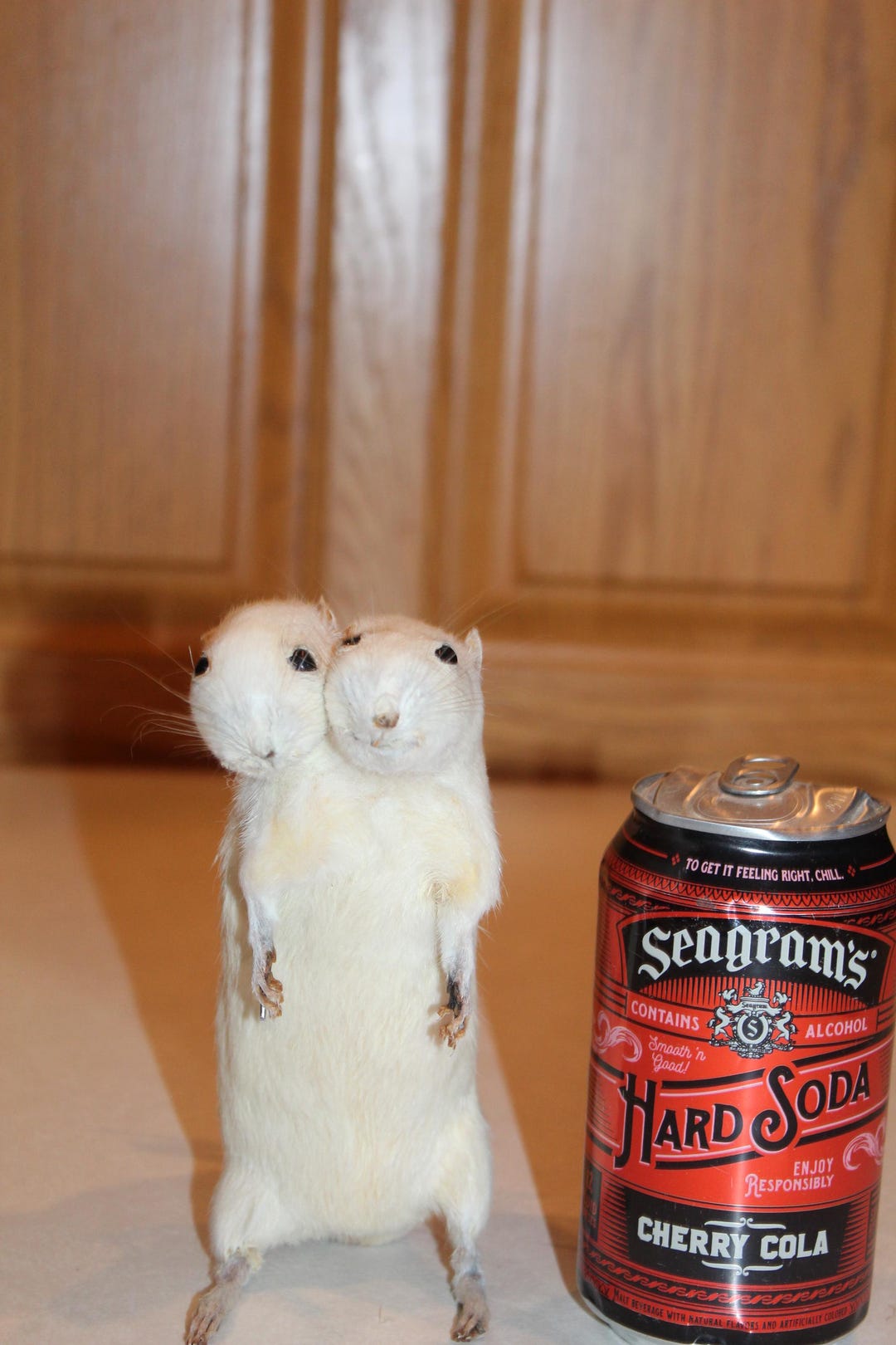 New 2 Headed Rat Mount Novelty Sideshow Circus Gaff Prank Mouse ...