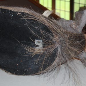 Pig Head Mount Taxidermy Log Cabin Decor - Etsy