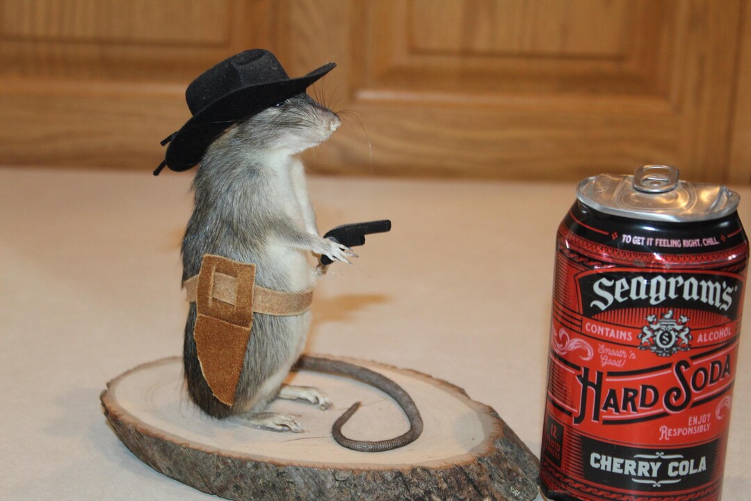 Taxidermy Cowboy Hat Barn Rat Mount Novelty Whitetail Deer Log Cabin ...