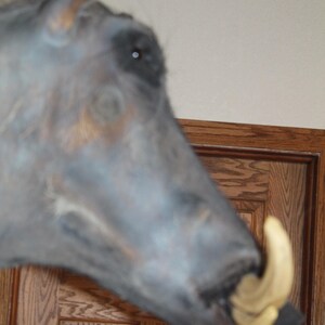 Pig Head Mount Taxidermy Log Cabin Decor - Etsy