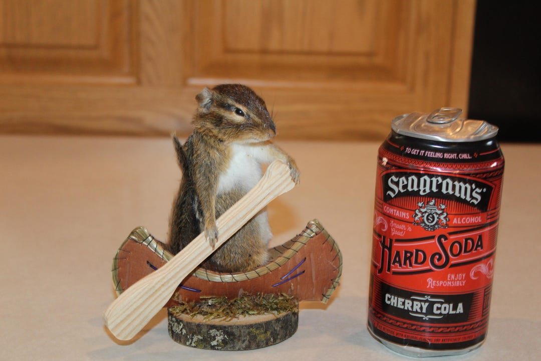 Taxidermy Chipmunk Canoe Camping Mount Novelty Whitetail Deer Log Cabin ...