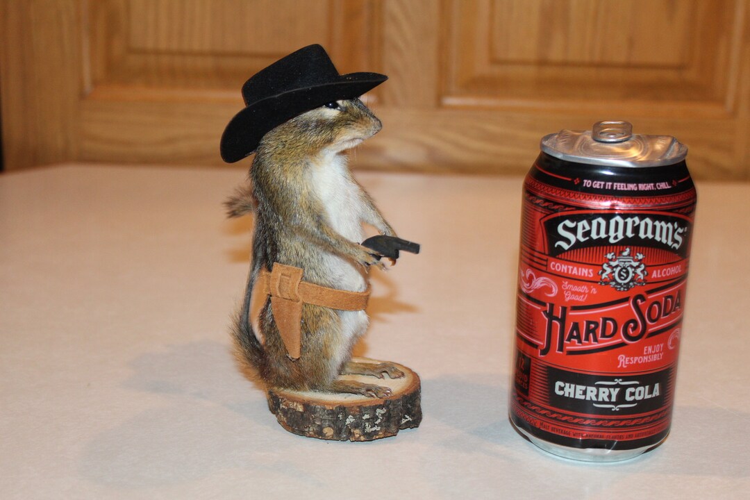 New Taxidermy Cowboy Chipmunk Mount Novelty Whitetail Deer Log - Etsy