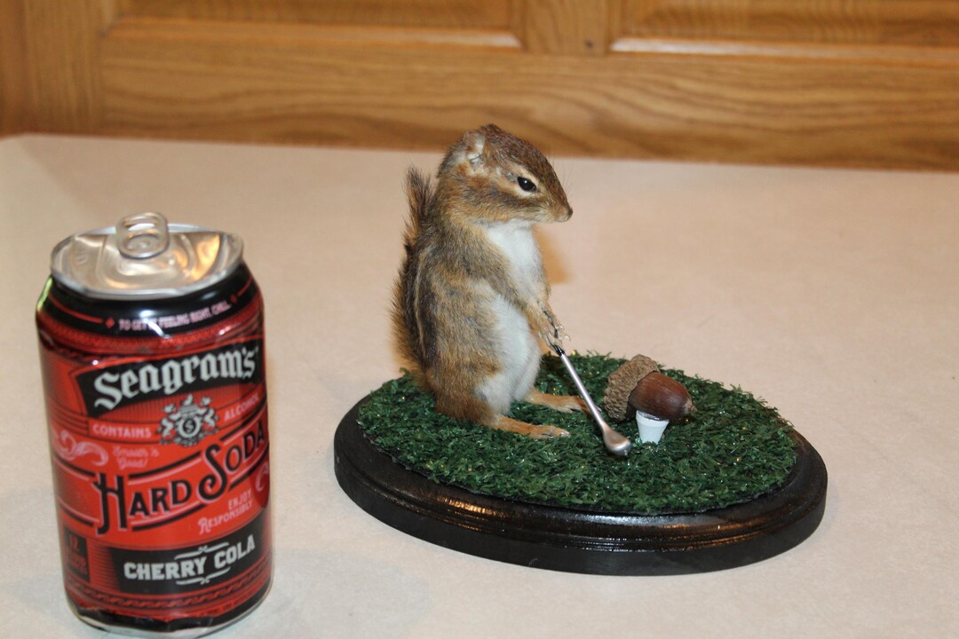 Taxidermy Chipmunk Golf Nut Club Mount Novelty Whitetail Deer Log Cabin ...