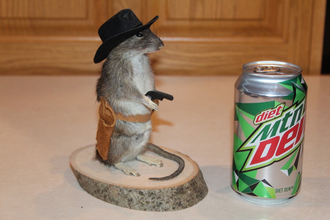 Taxidermy Cowboy Barn Rat Mount Novelty Whitetail Deer Log Cabin Decor ...