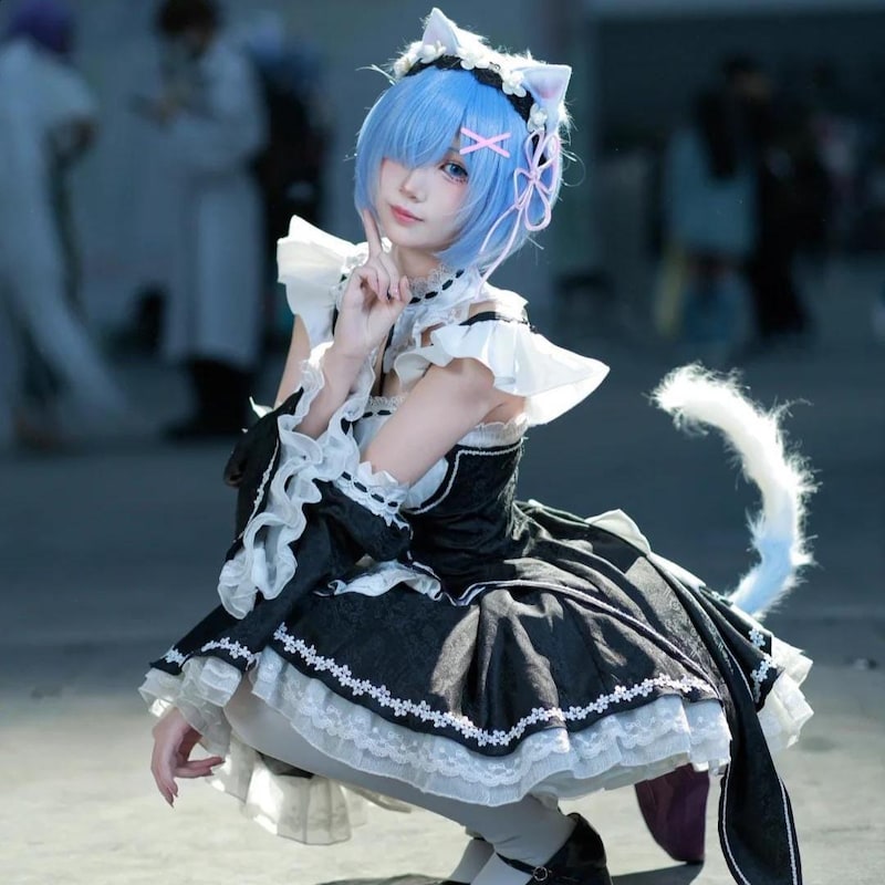 Rem Anime Cosplay - Etsy