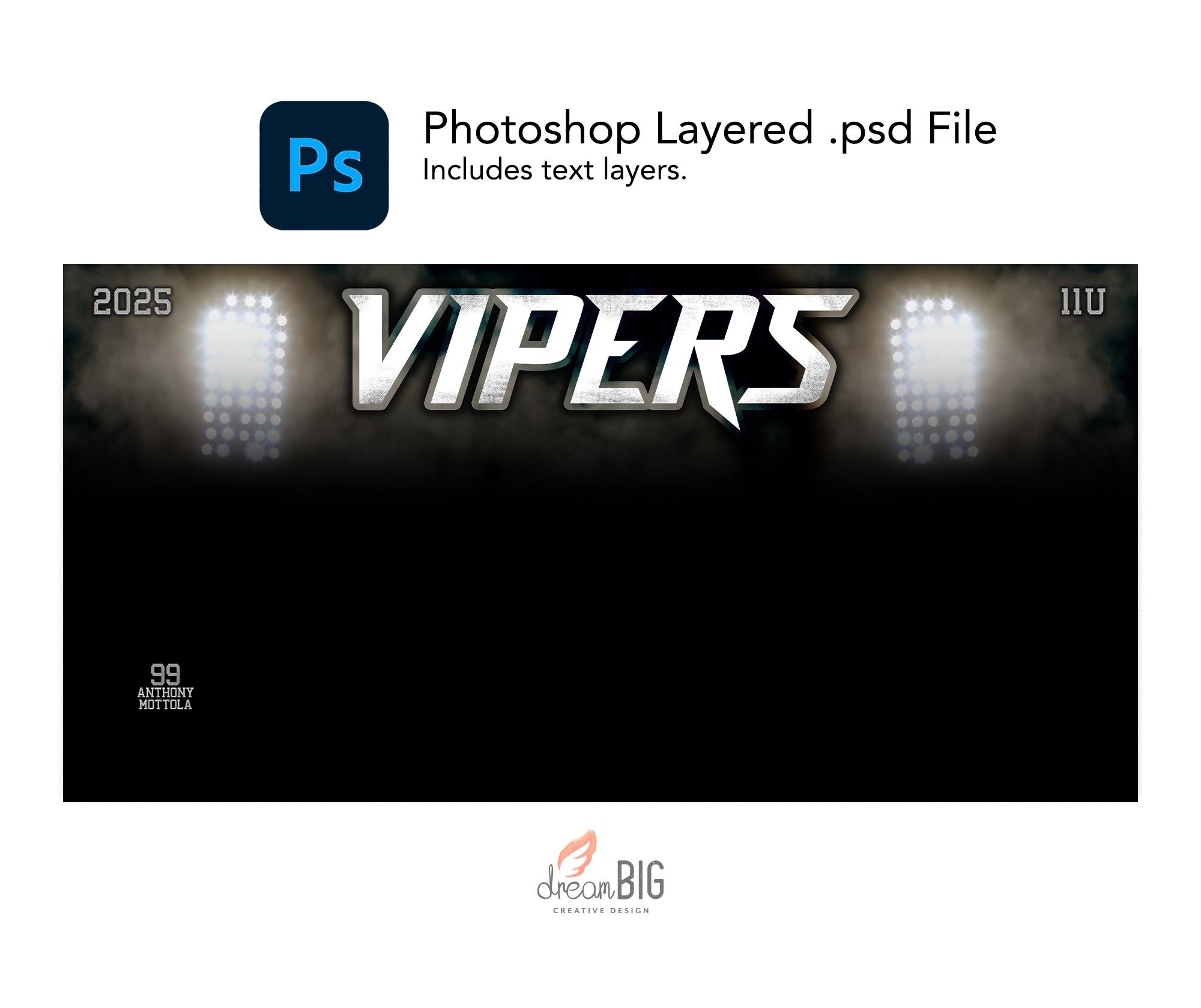 Vipers Baseball Banner Photoshop Template - 8'x4' and 6'x4' PSD File ...