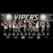 Vipers Baseball Banner Photoshop Template - 8'x4' and 6'x4' PSD File ...