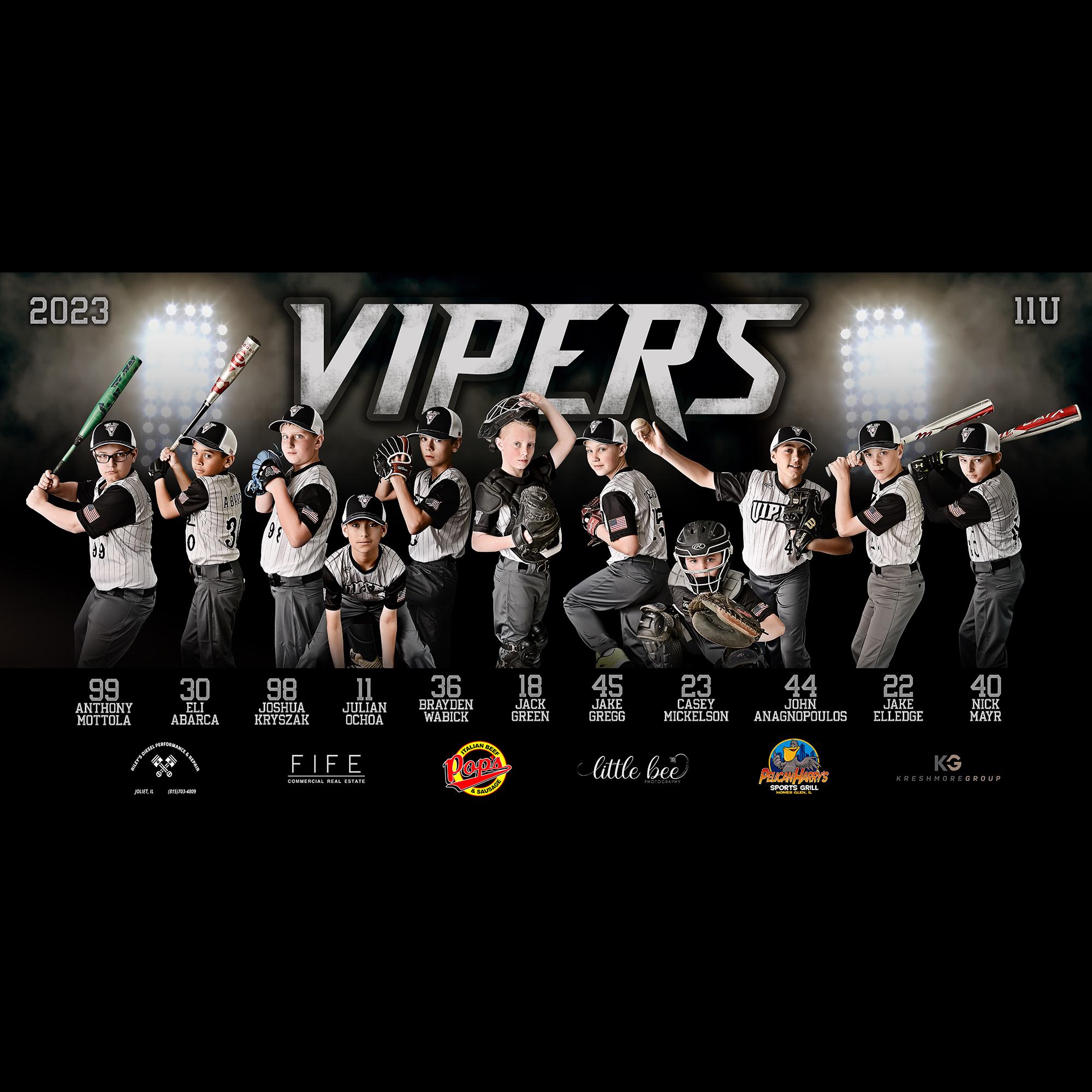 Vipers Baseball Banner Photoshop Template - 8'x4' and 6'x4' PSD File ...