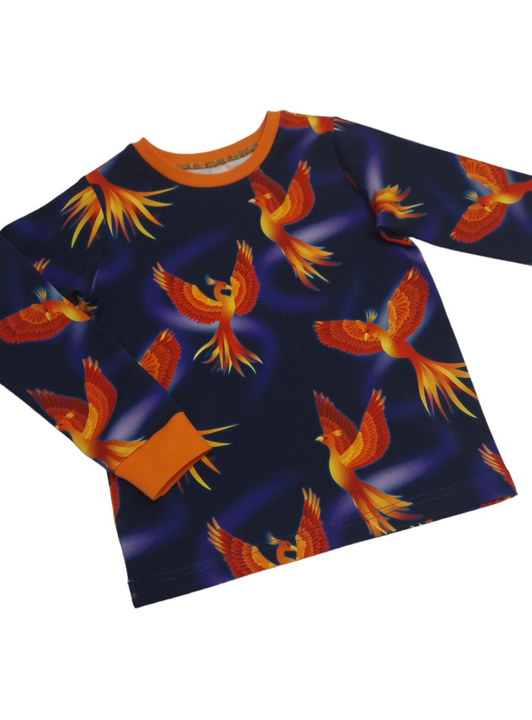 Organic Firebird Tshirt for Baby to Teen, Childrens Mythical Tshirt ...