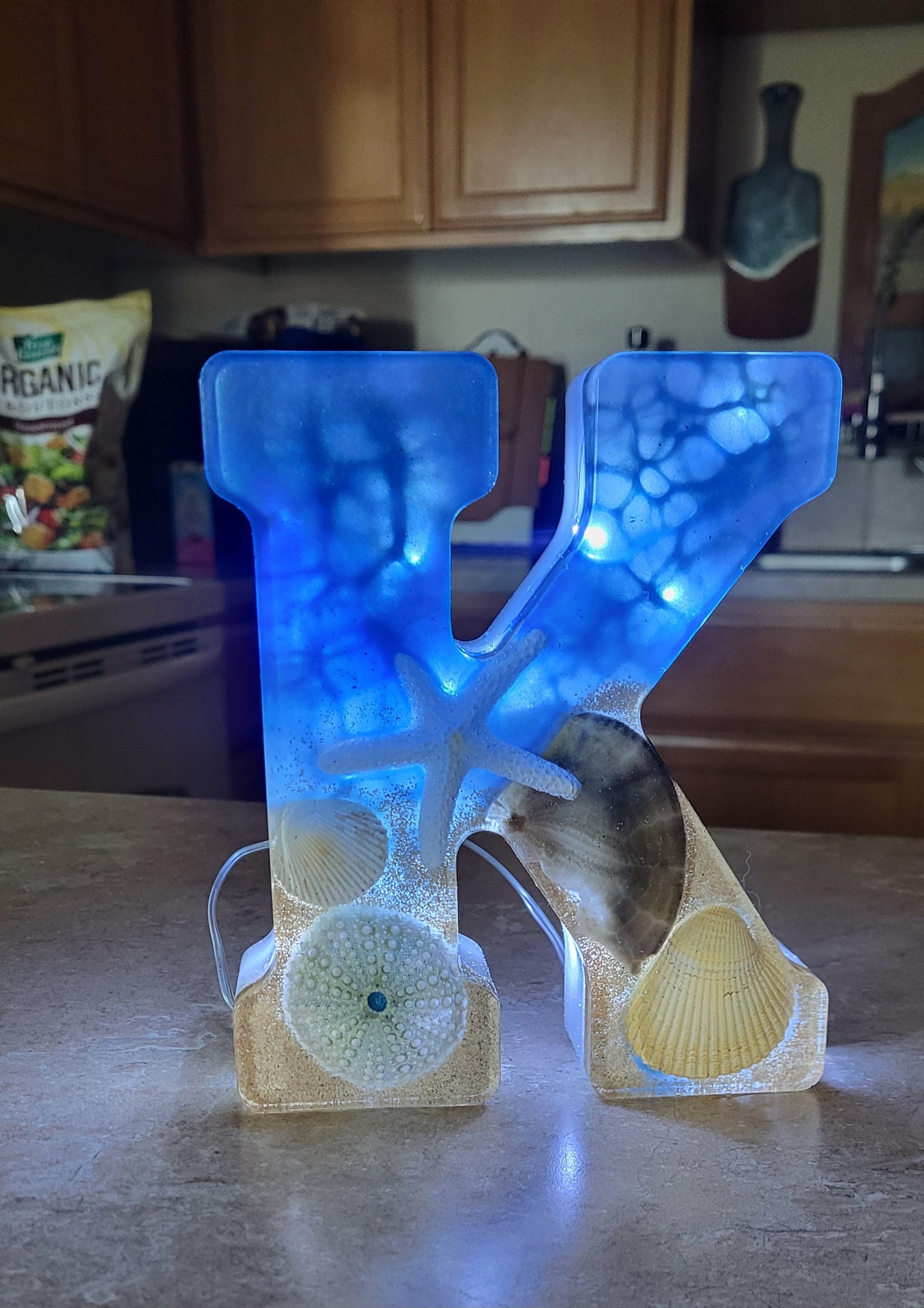 Ocean & Shells 6 Inch Lighted Letters - Night Light - Etsy