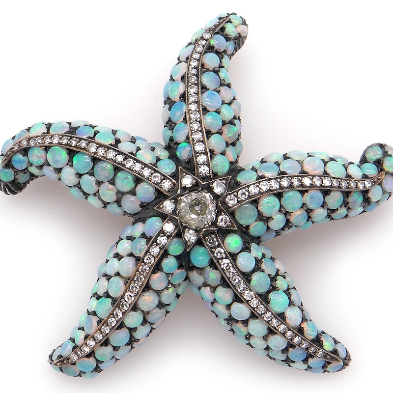 Starfish Brooch - Etsy