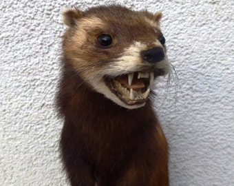 Miniature Skunk Micro Mini Polecat Amigurumi Crochet Art