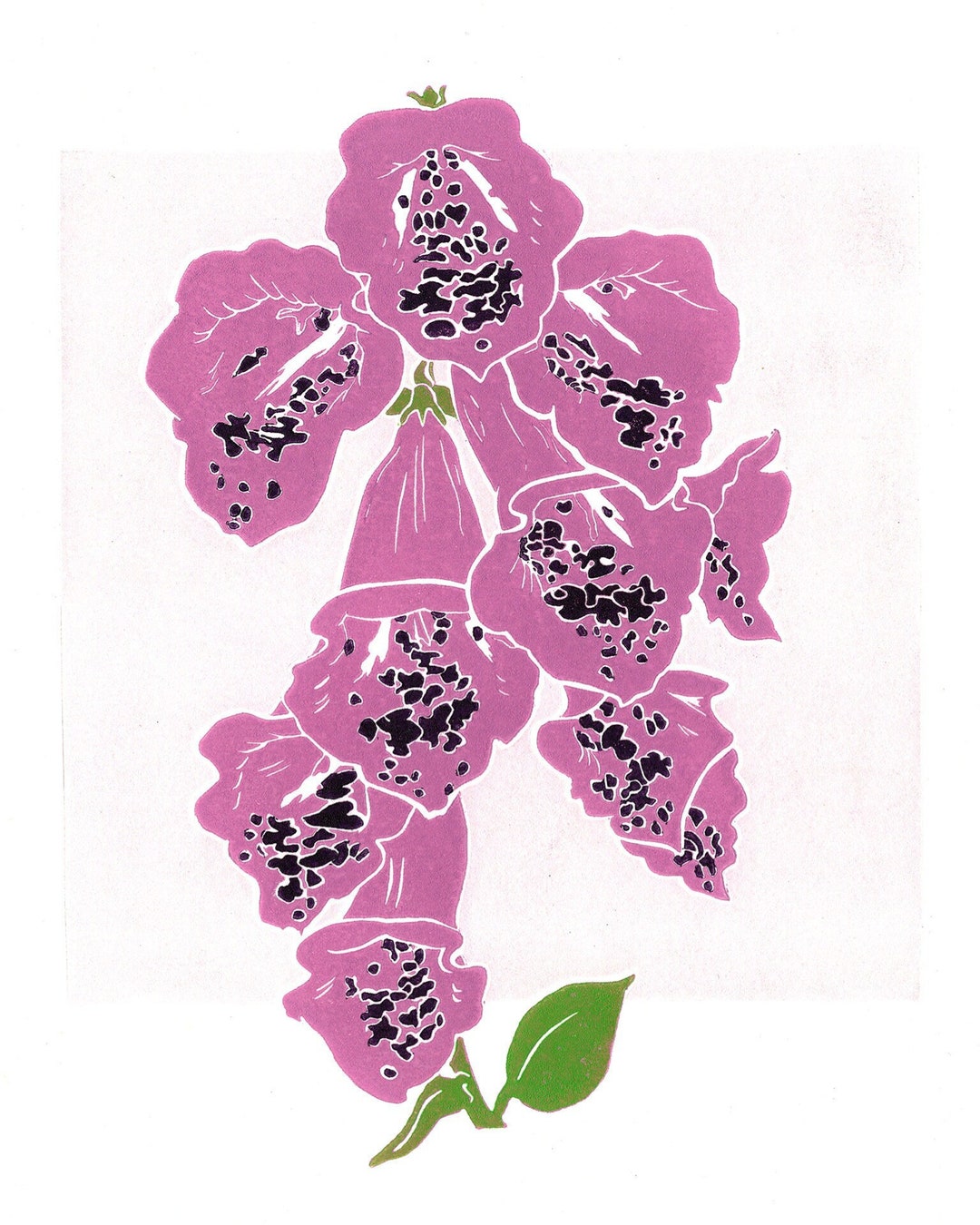 Limited Edition Linocut Reduction Four Color Print of Foxgloves in ...