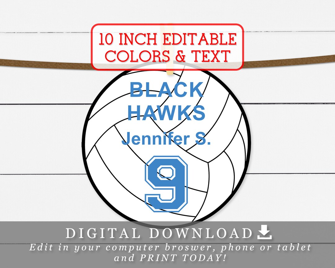 10" Volleyball With Editable Team Name Player Names and Numbers Banner ...