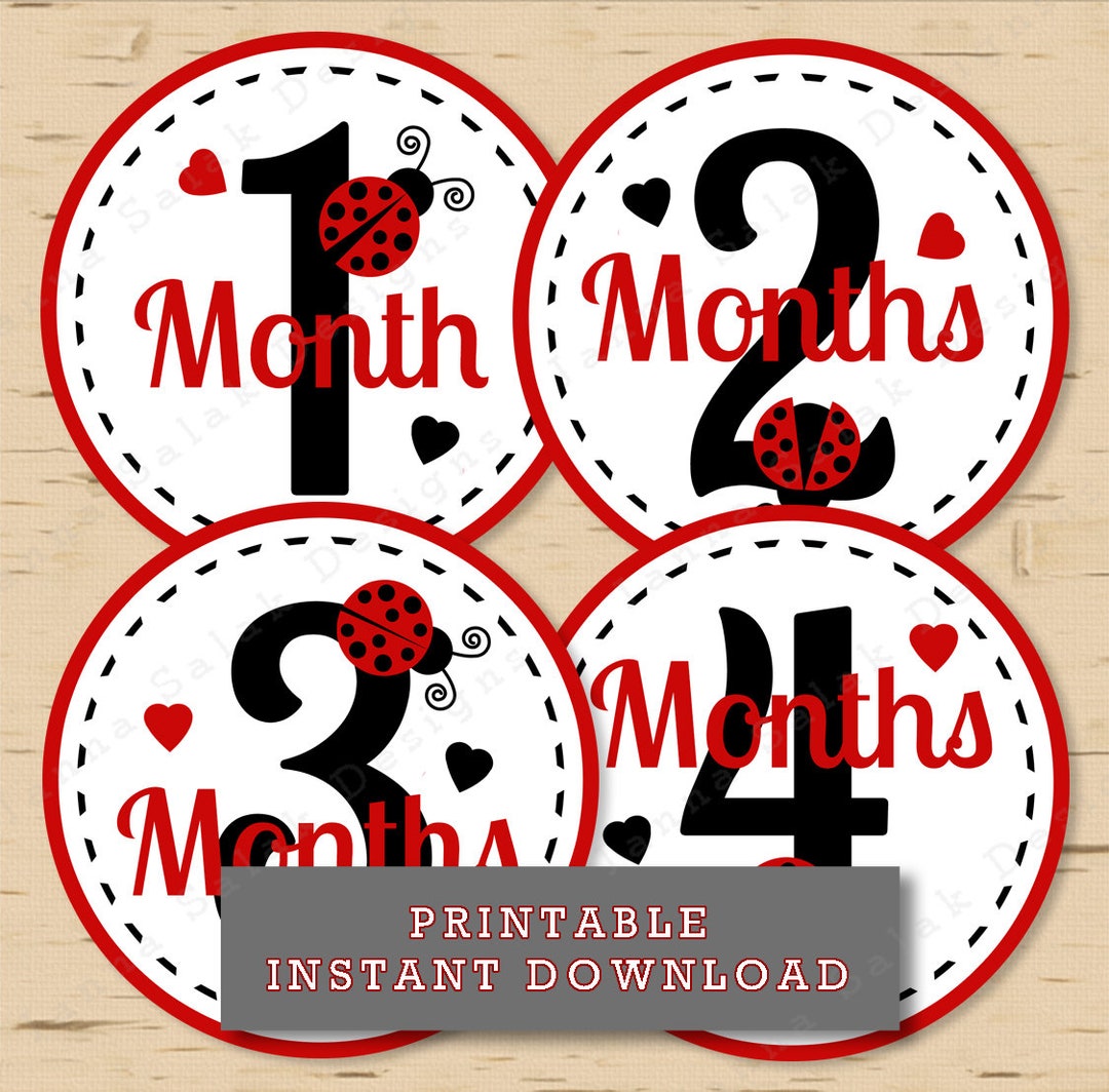 Ladybug Month Stickers INSTANT DOWNLOAD PRINTABLE Pdf Diy - Baby Girl ...