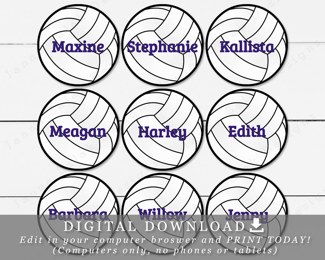 2.5 Volleyballs With Editable Names / Text Printable - Etsy