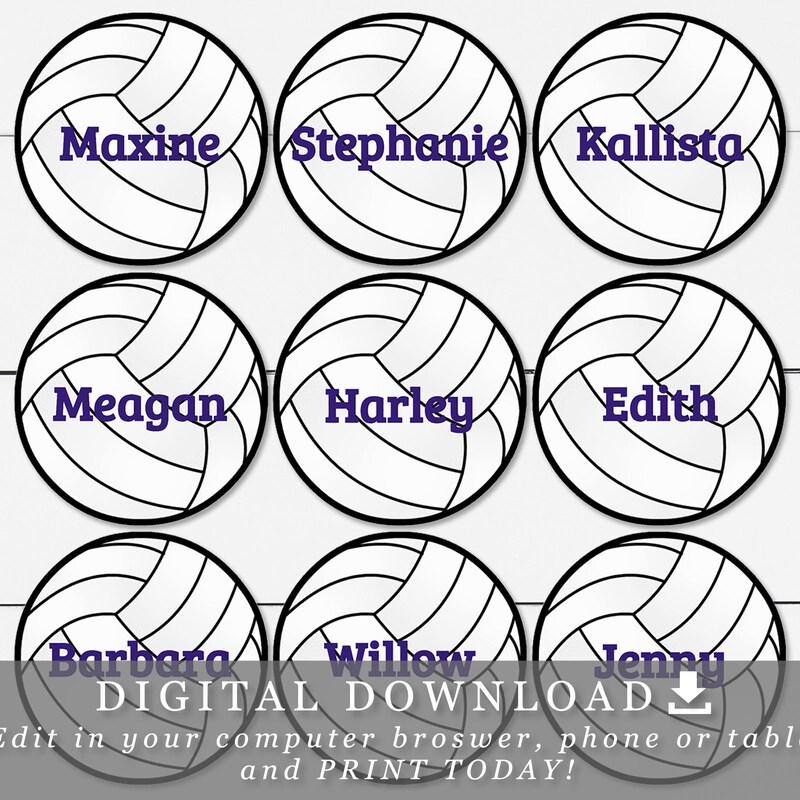 Volleyball Favors - Etsy