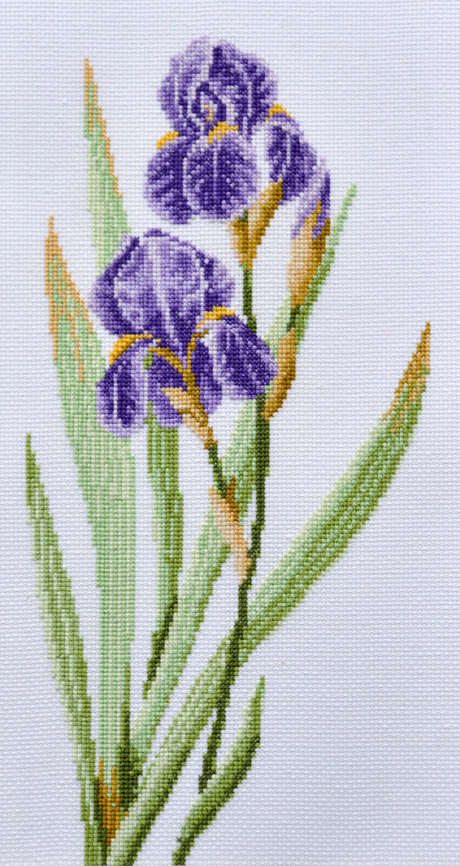 Blue Irises DIY Embroidery kit Flower Cross Stitch Kit | Etsy