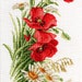 Red Poppies Flowers Embroidery Design for Adults and Kids, Poppy Cross ...