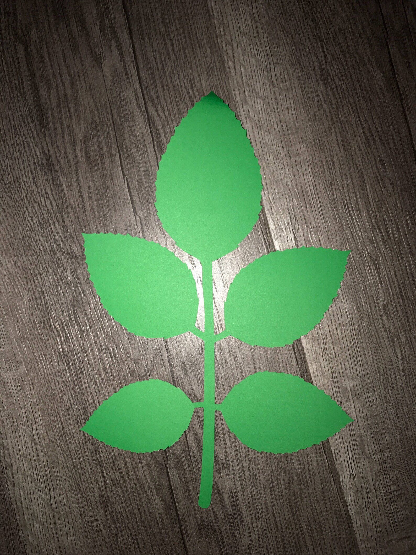 Paper Leaves / Leaf - Etsy