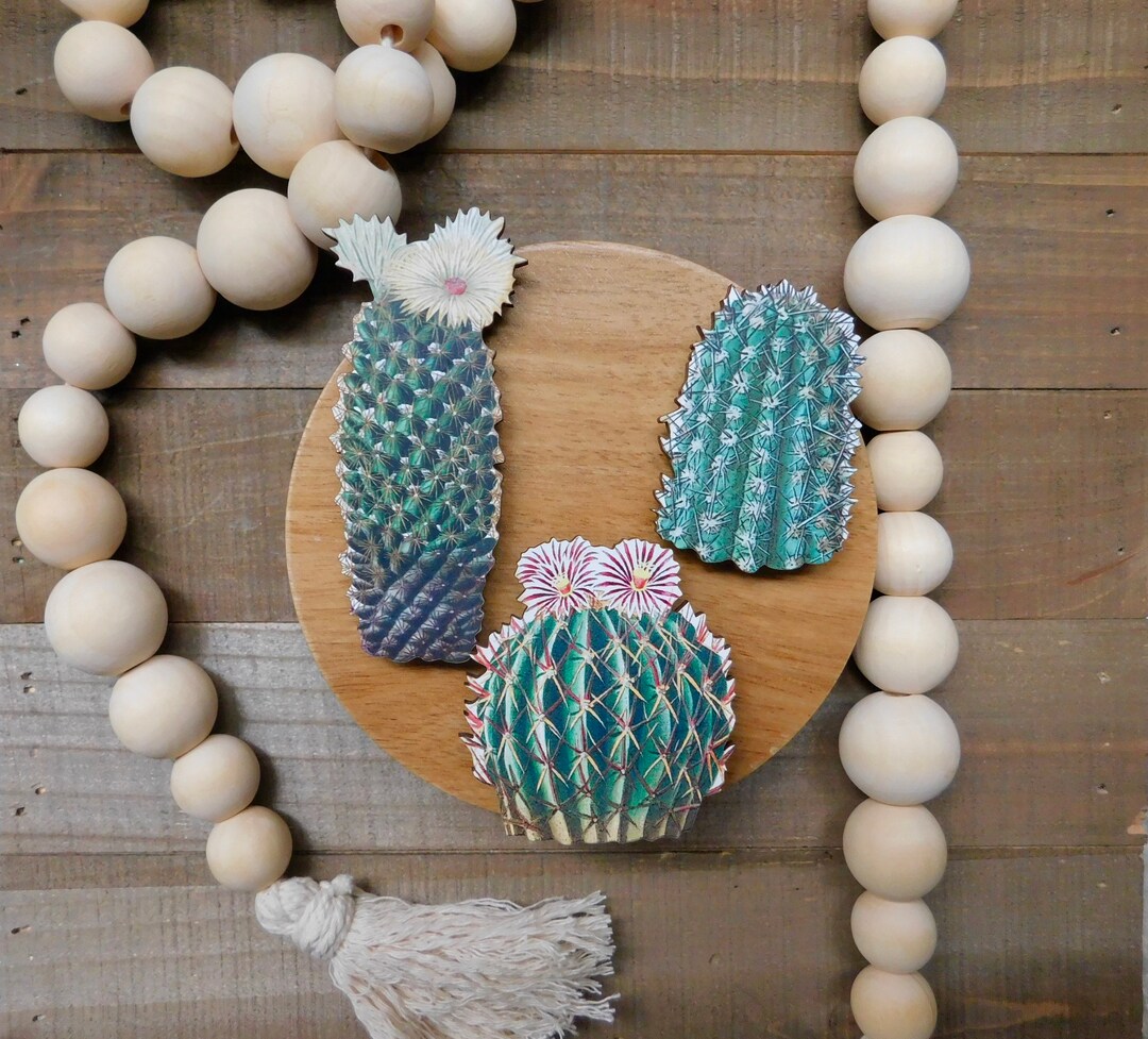 Colorful Cacti Wooden Magnet Set of 3 | Flowering Cactus Refrigerator ...