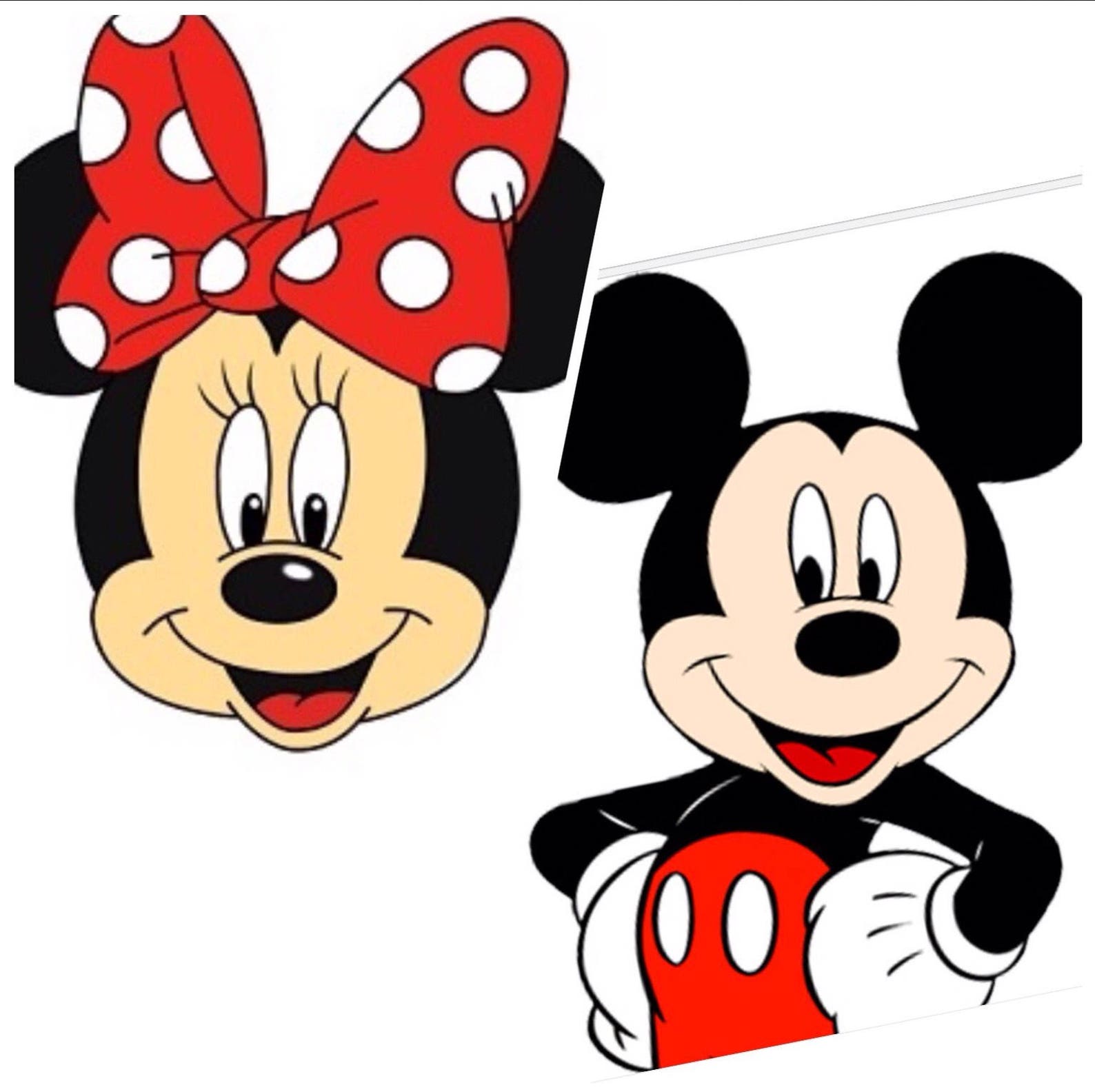 Minnie & Mickey MOUSE Hawaiian Ribbon LEI family Celebration - Etsy
