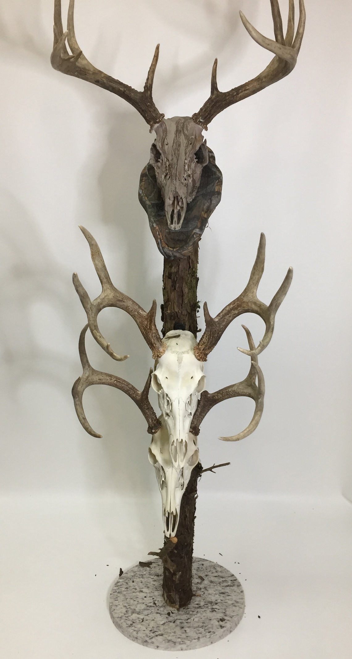 Bag R Buck Euro Rax Trophy Tree 50 Inch Barnwood Top Plaque and Granite ...