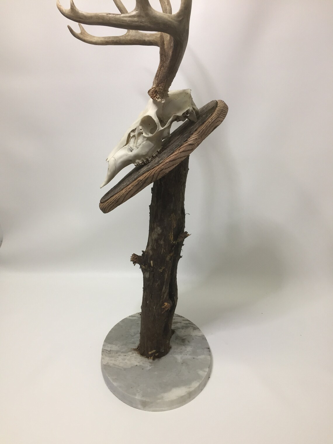 Bag R Buck Euro Rax Trophy Tree 30 Inch Barnwood Top Plaque and Granite ...