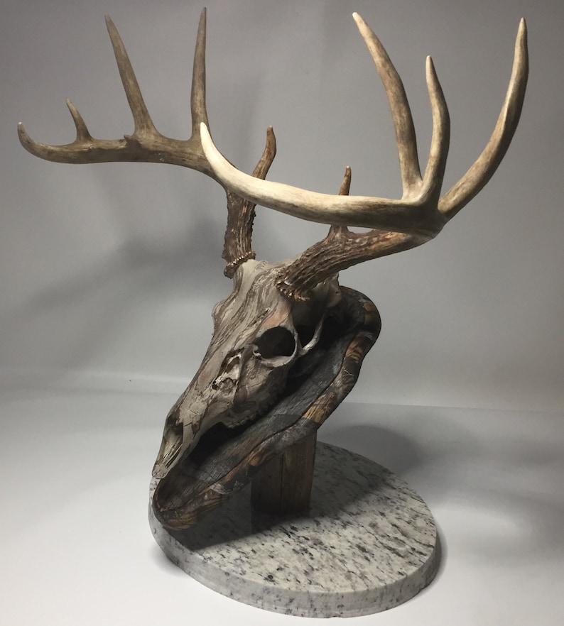 Bag R Buck Euro Rax Table Top Trophy Tree 11 Inch Camo - Etsy