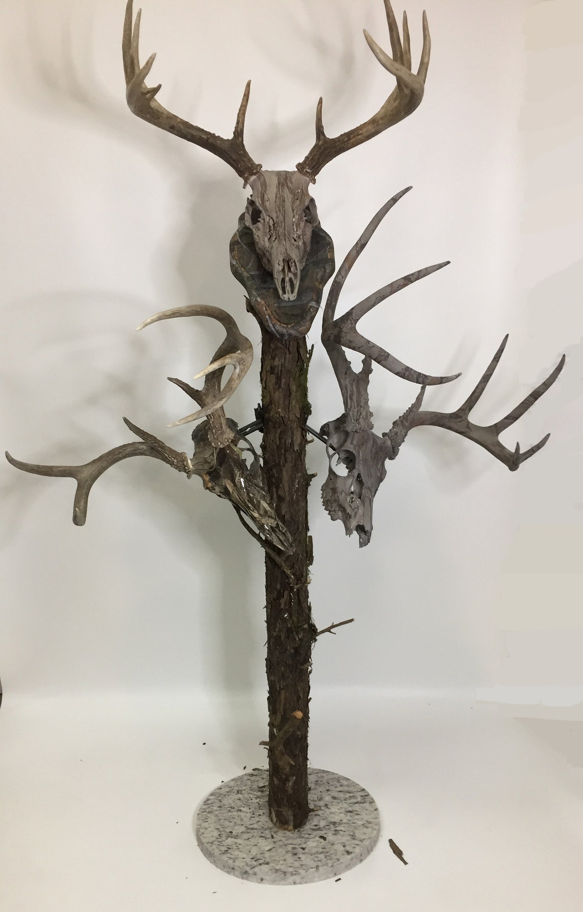 Bag R Buck Euro Rax Trophy Tree 50 Inch Barnwood Top Plaque and Granite ...
