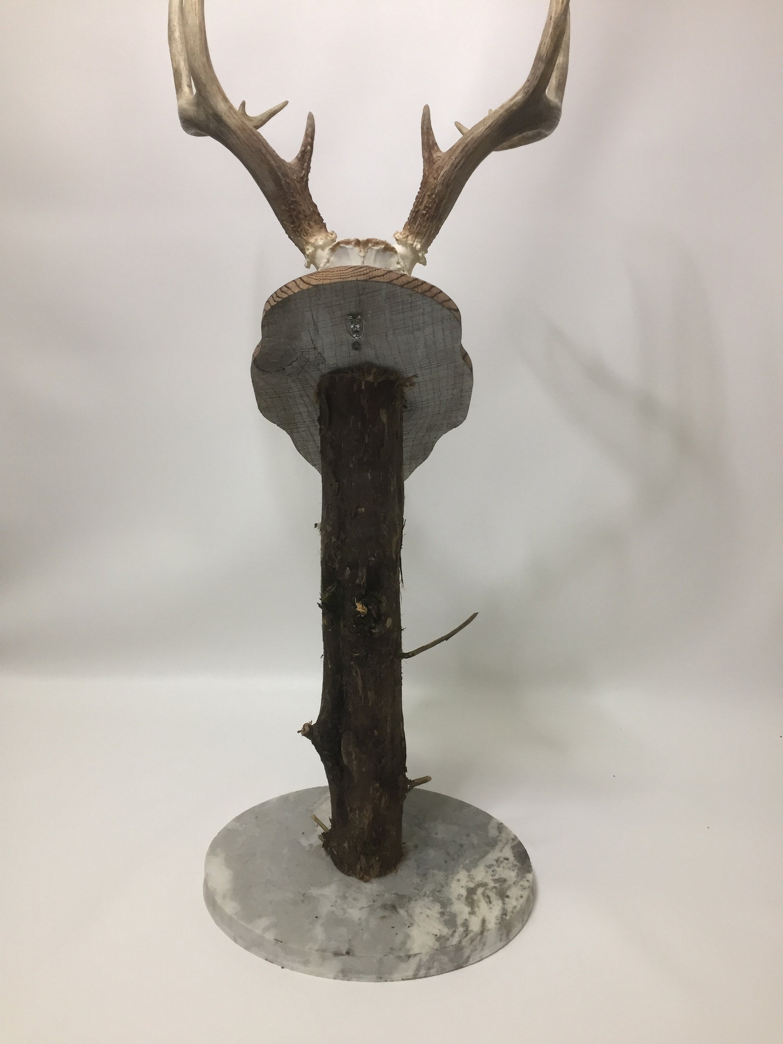 Bag R Buck Euro Rax Trophy Tree 30 Inch Barnwood Top Plaque and Granite ...