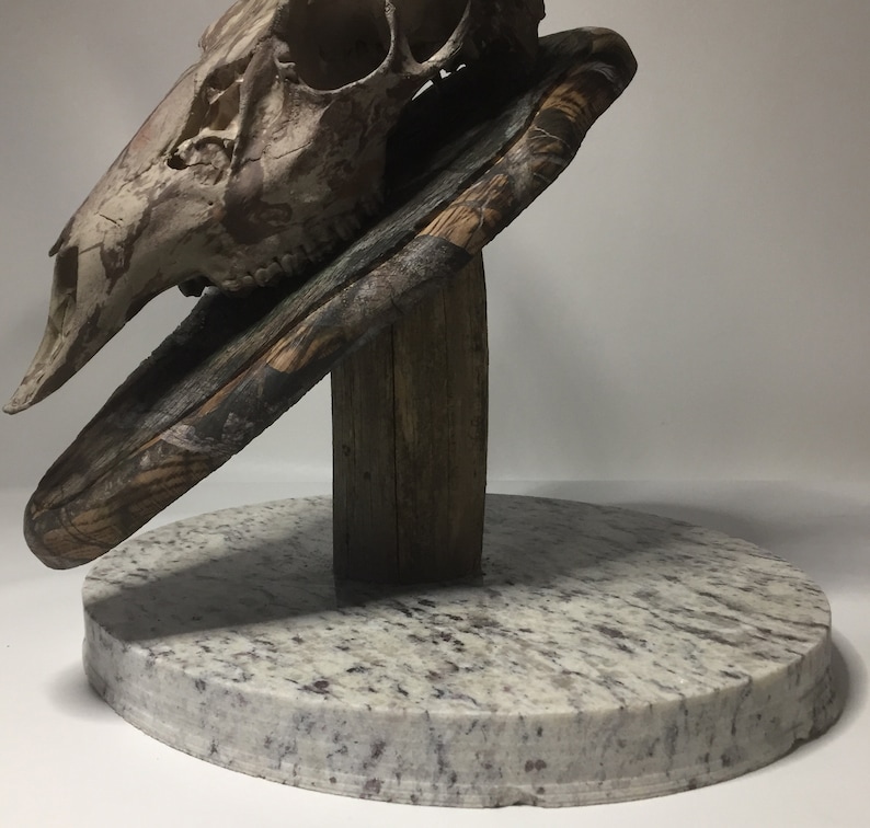 Bag R Buck Euro Rax Table Top Trophy Tree 11 Inch Camo - Etsy