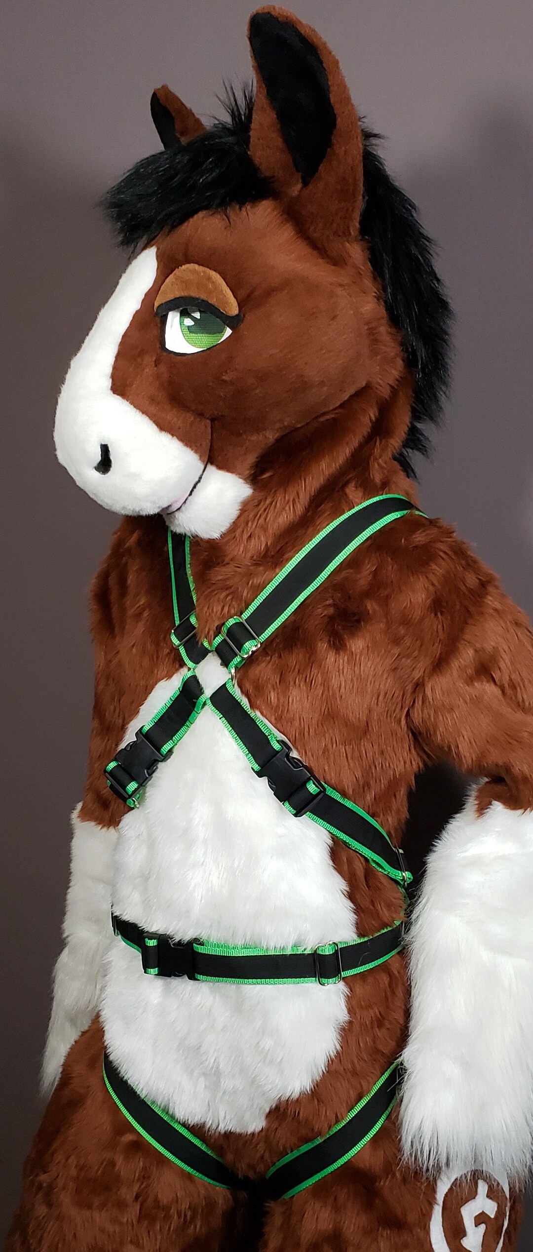 2 Layer Nylon Sled Dog Harness - Etsy