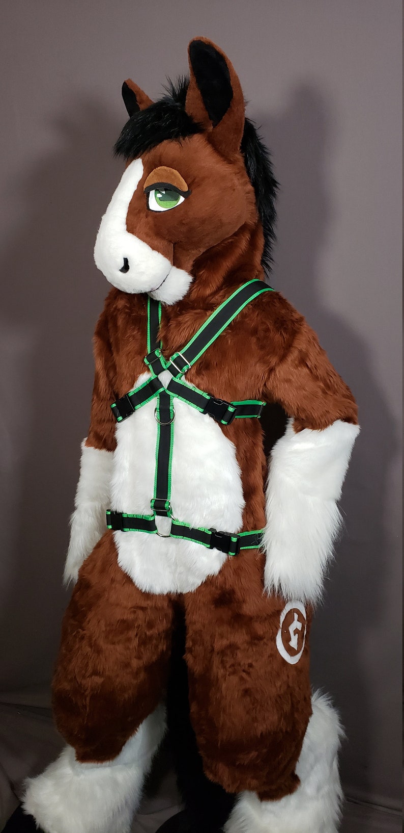 2 Layer Nylon Body Harness - Etsy