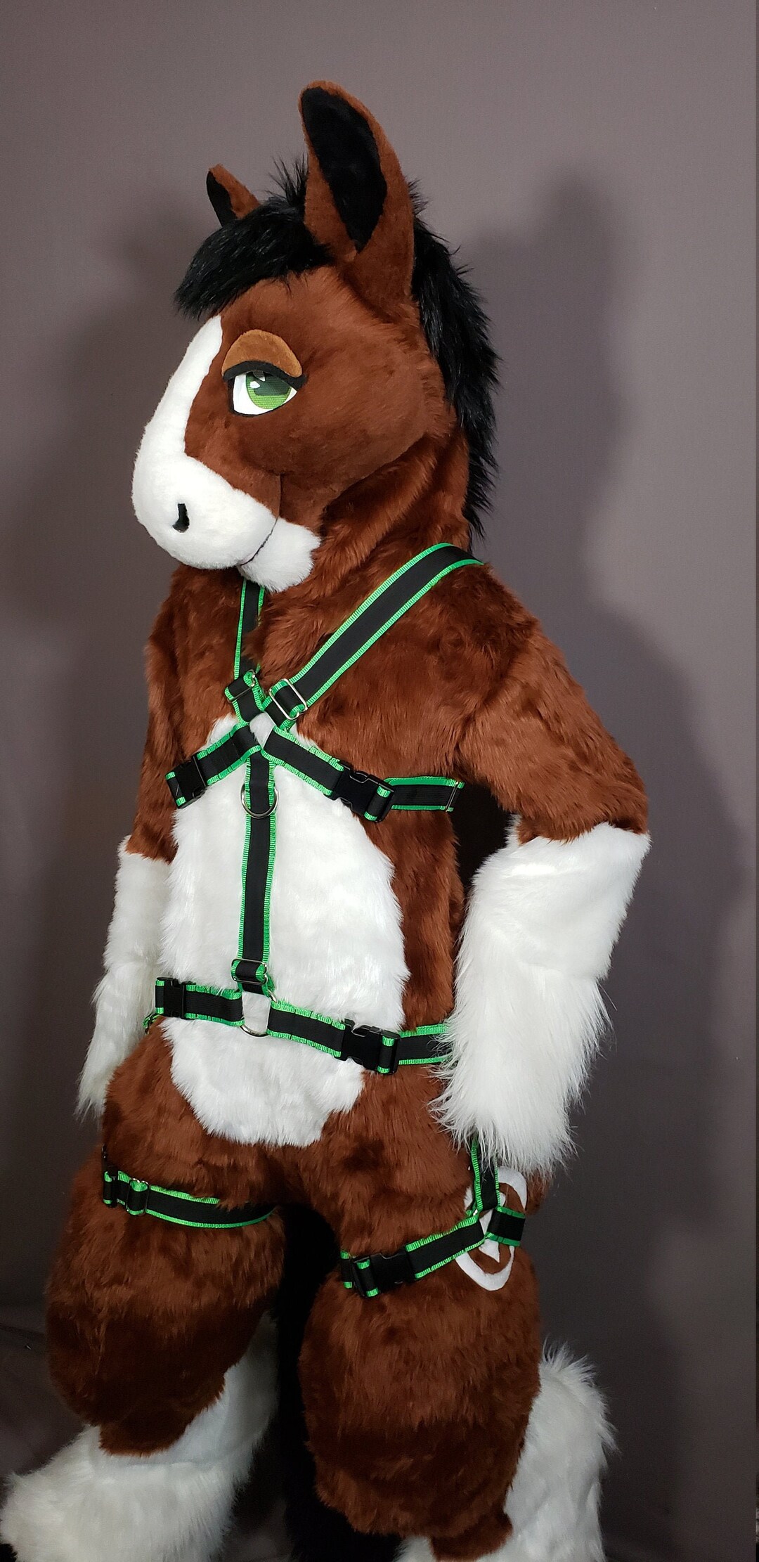 2 Layer Nylon Body Harness With Leg Loops - Etsy