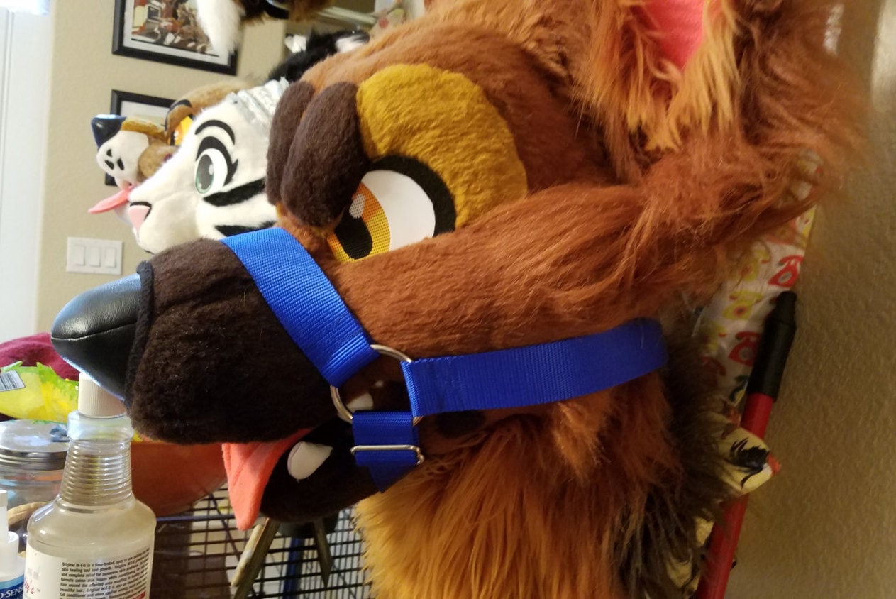 Nylon Fursuit Muzzle - Etsy