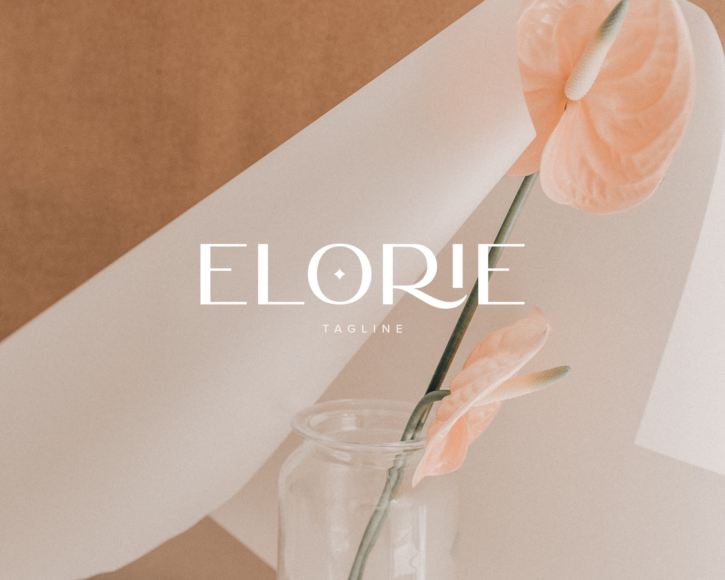 Text Only Logo Modern Logo Design Brand Design Premade | Etsy