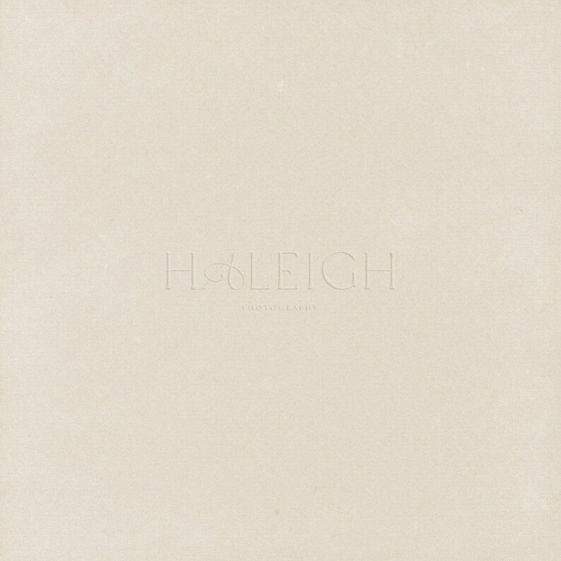 Modern Premade Text Logo Design Wormark Logo Premade Branding Logo ...