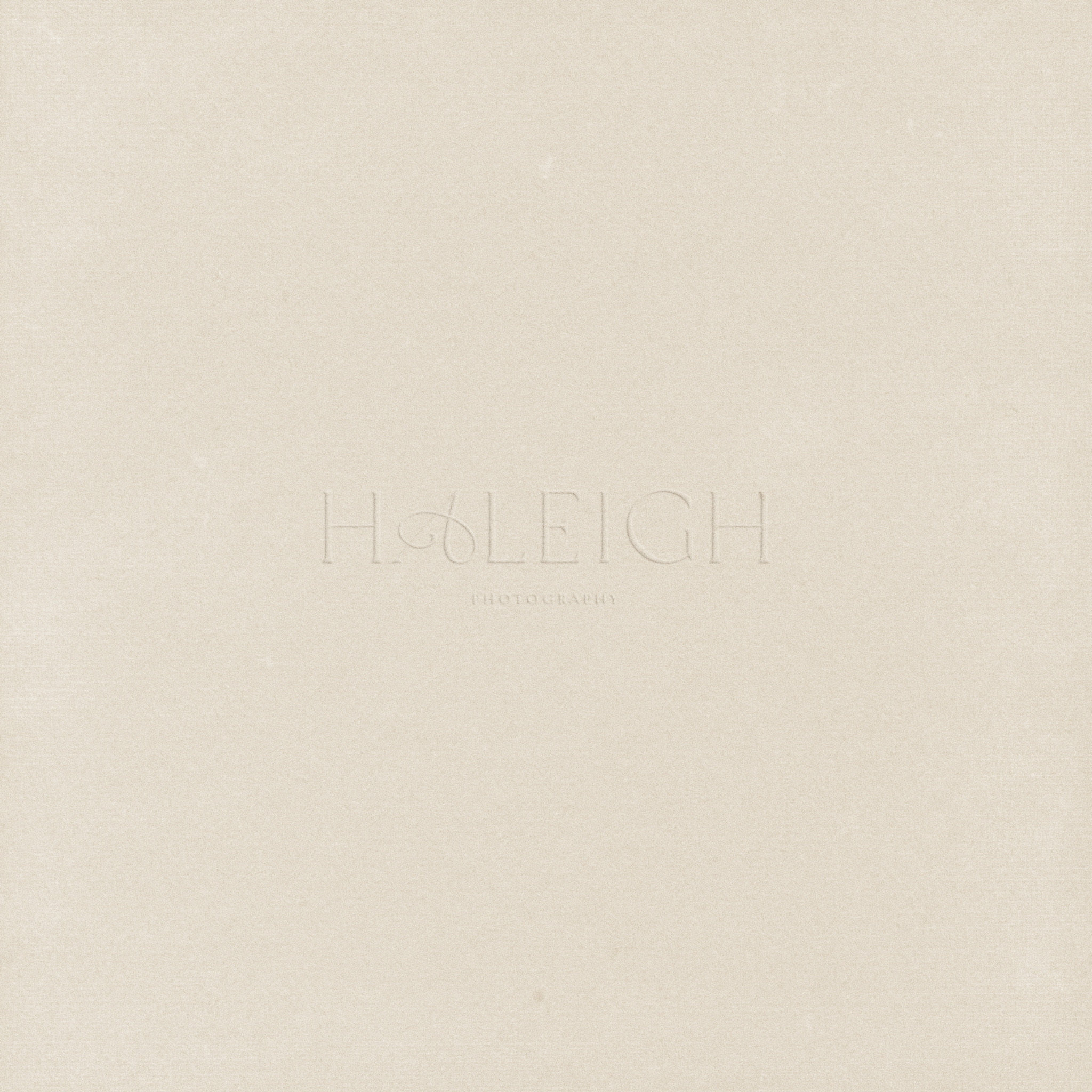 Modern Premade Text Logo Design Wormark Logo Premade Branding Logo ...